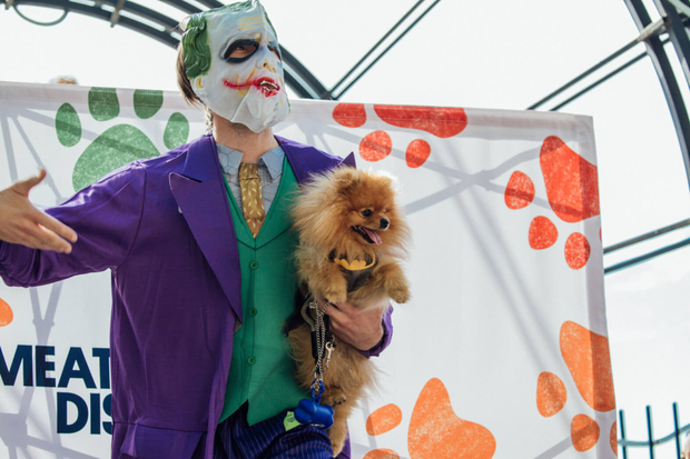 #TBT THE ANNUAL MEATPACKING DOGGIE COSTUME CONTEST