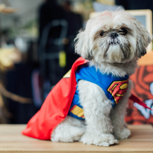 #TBT THE ANNUAL MEATPACKING DOGGIE COSTUME CONTEST