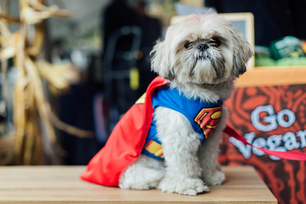 #TBT THE ANNUAL MEATPACKING DOGGIE COSTUME CONTEST